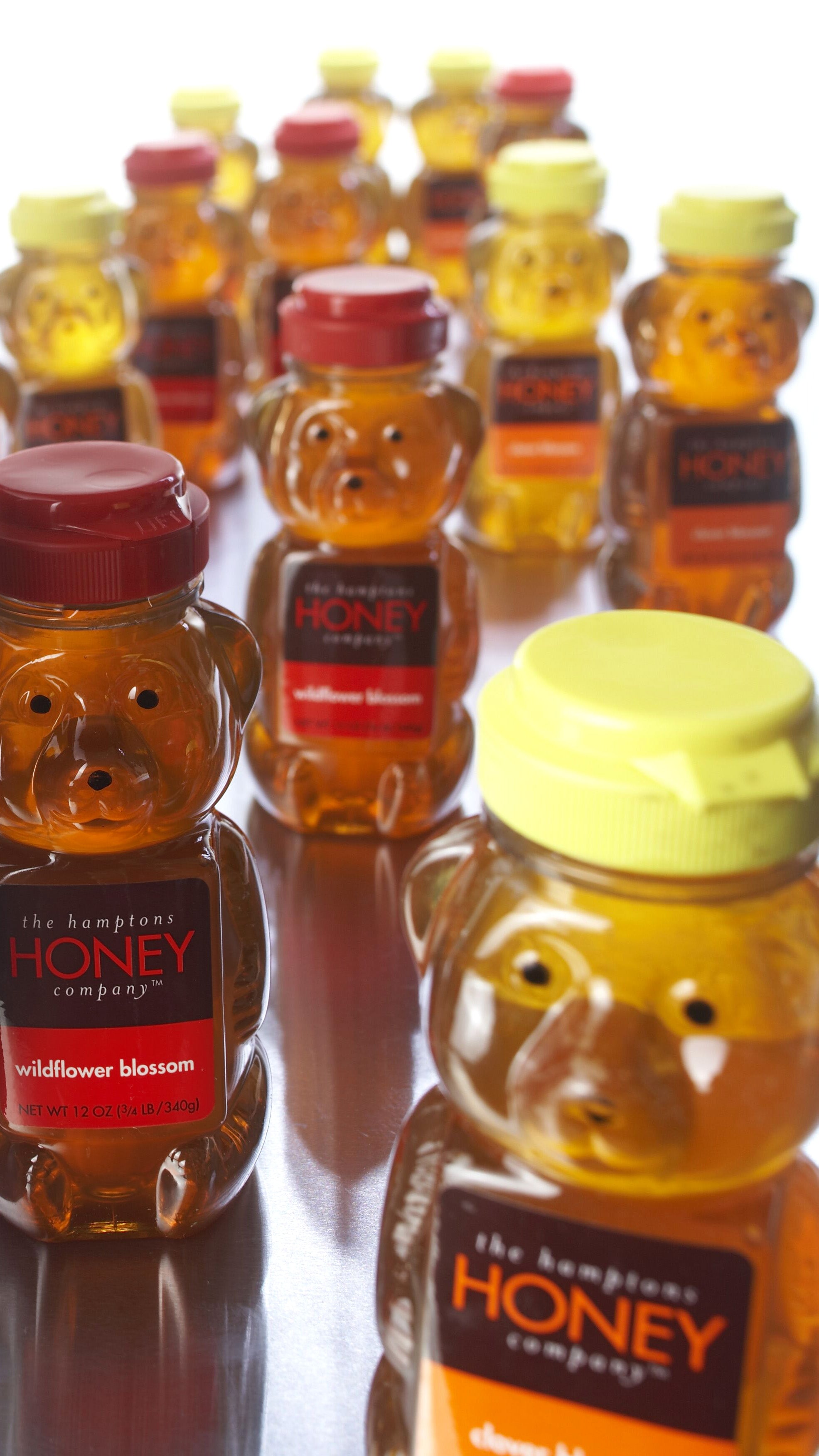 Clover Honey Bear